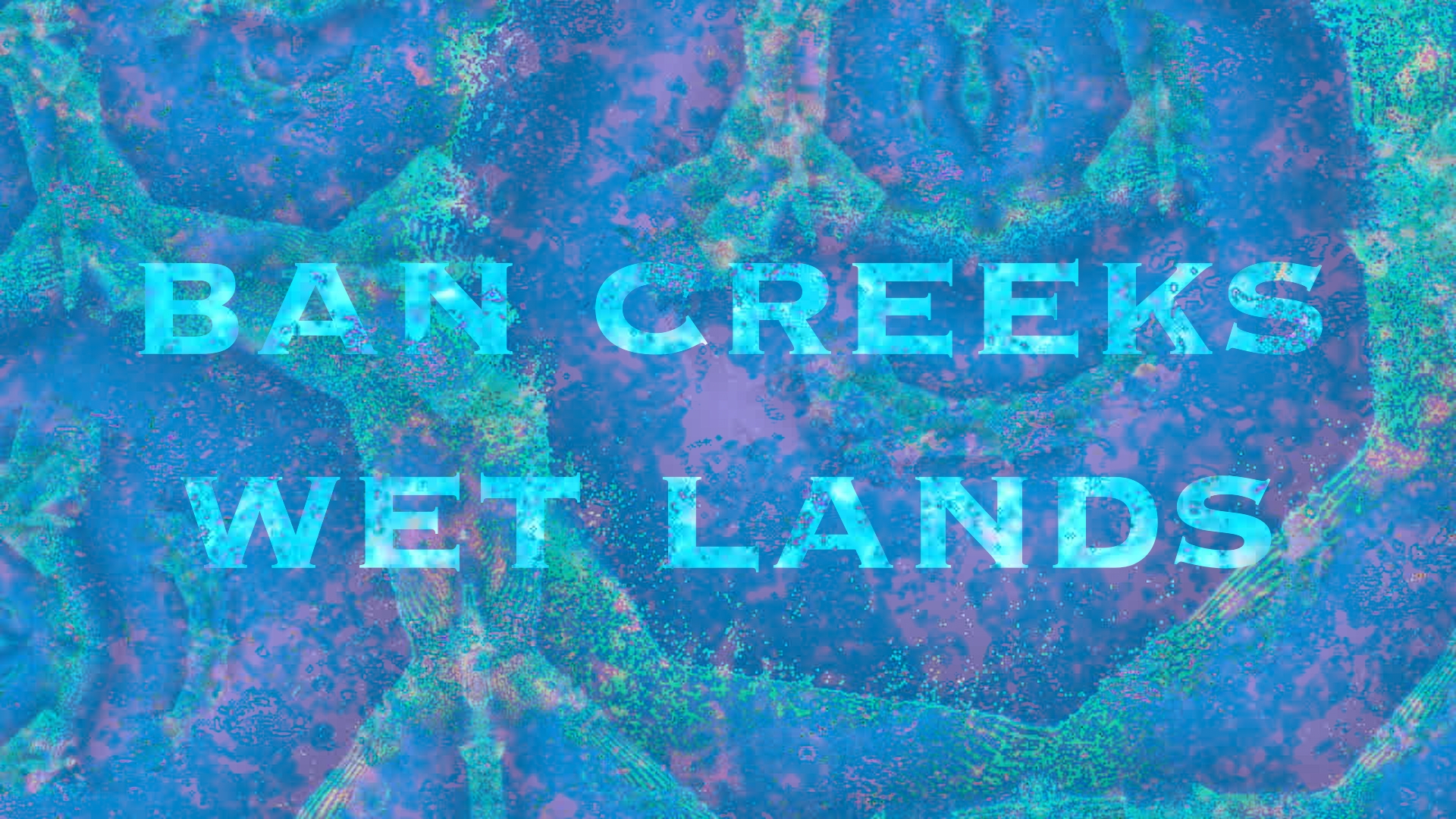 Ban Creeks - Wet Lands - Bathurst Regional Art Gallery